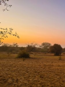 Manvar: A Unique Experience in the Great Indian Desert