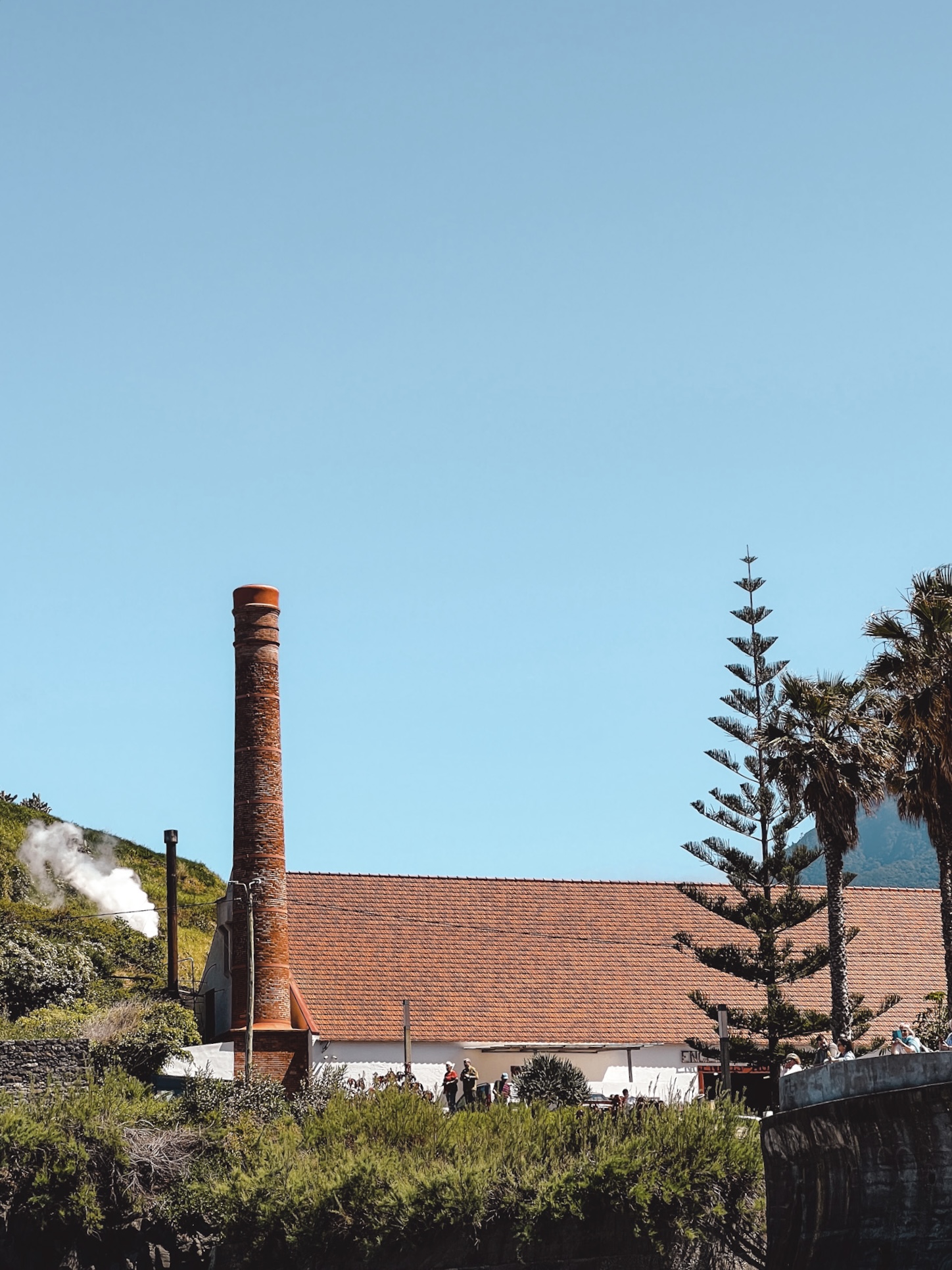 The Best of East Madeira: A Complete Guided Tour Experience