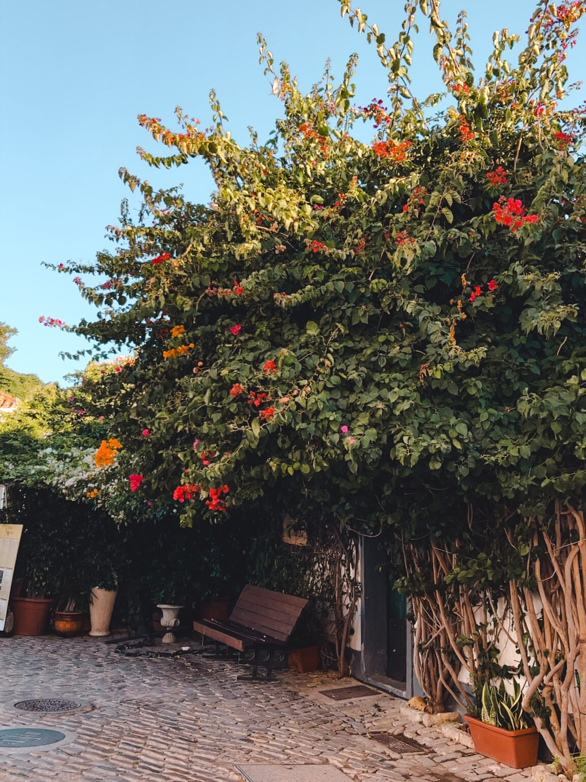 Faro's Best: The Ultimate Self-Guided Walking Tour of the City