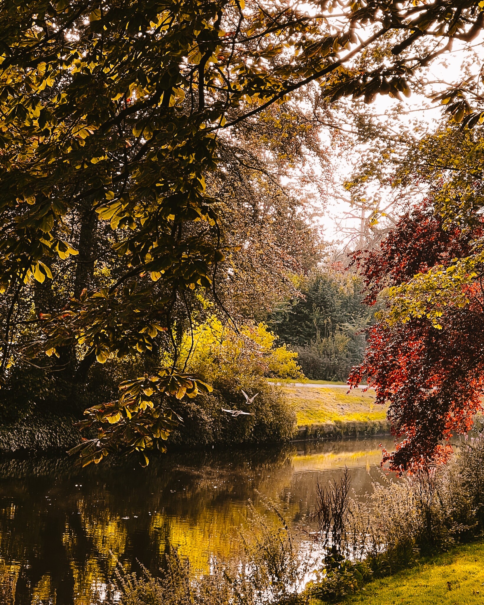 Bruges's Best: The Ultimate Self-Guided Walking Tour of the Medieval City